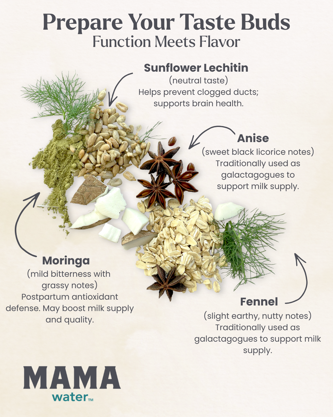 Variety Pack – Mama Water™